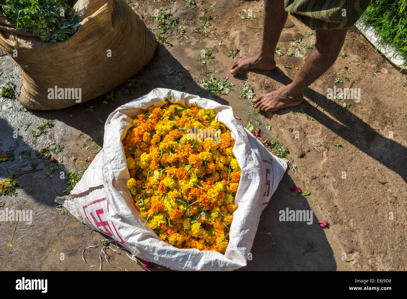 Madurai flowers hi-res stock photography and images - Alamy