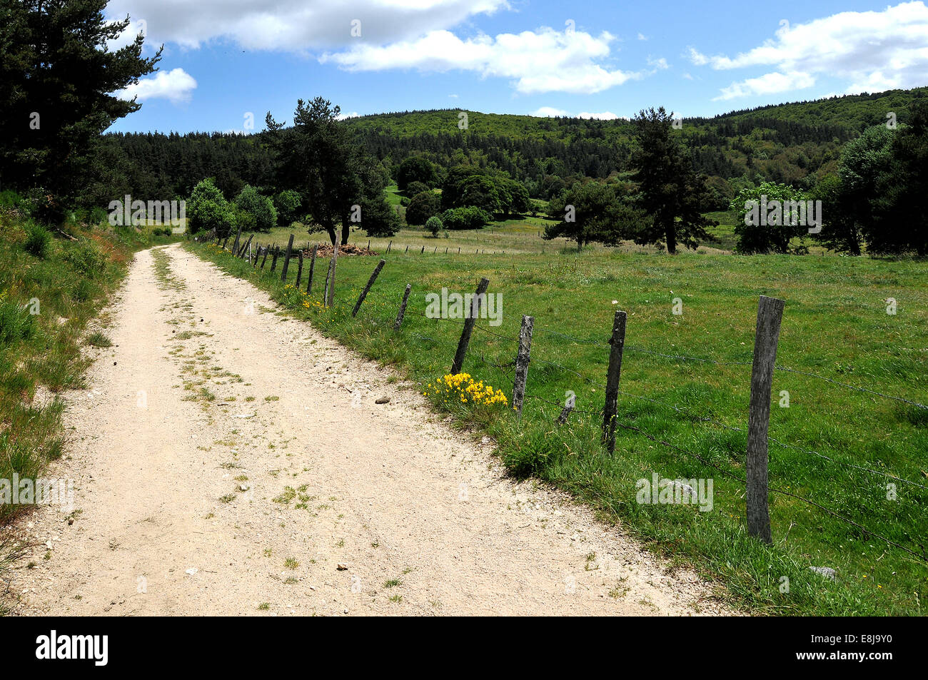 Path in the countryside Stock Photo - Alamy
