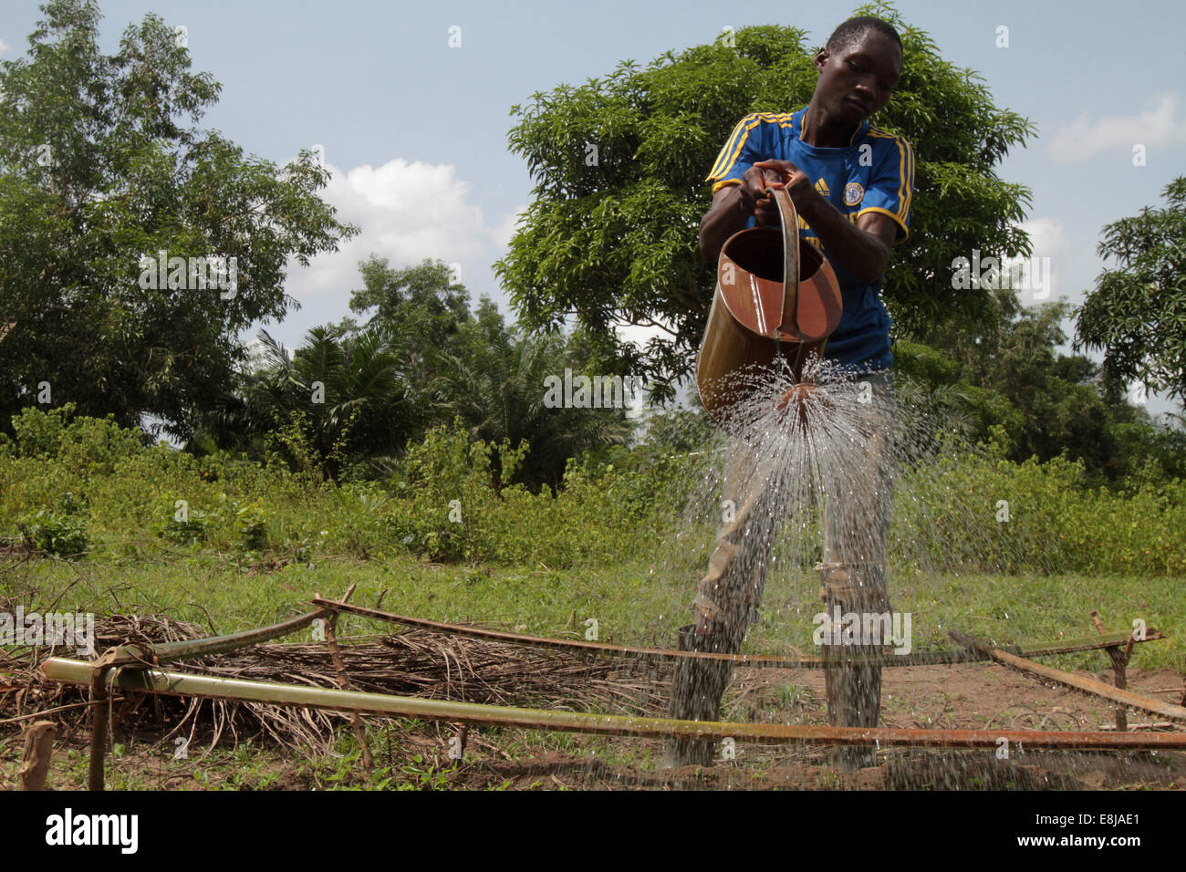 Watering the garden on a farm Stock Photo - Alamy