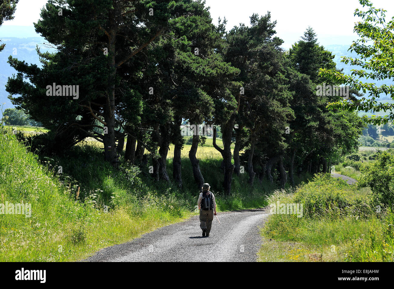 Way of St. James pilgrim. Christian pilgrimage route. Saint-Jacques-de ...
