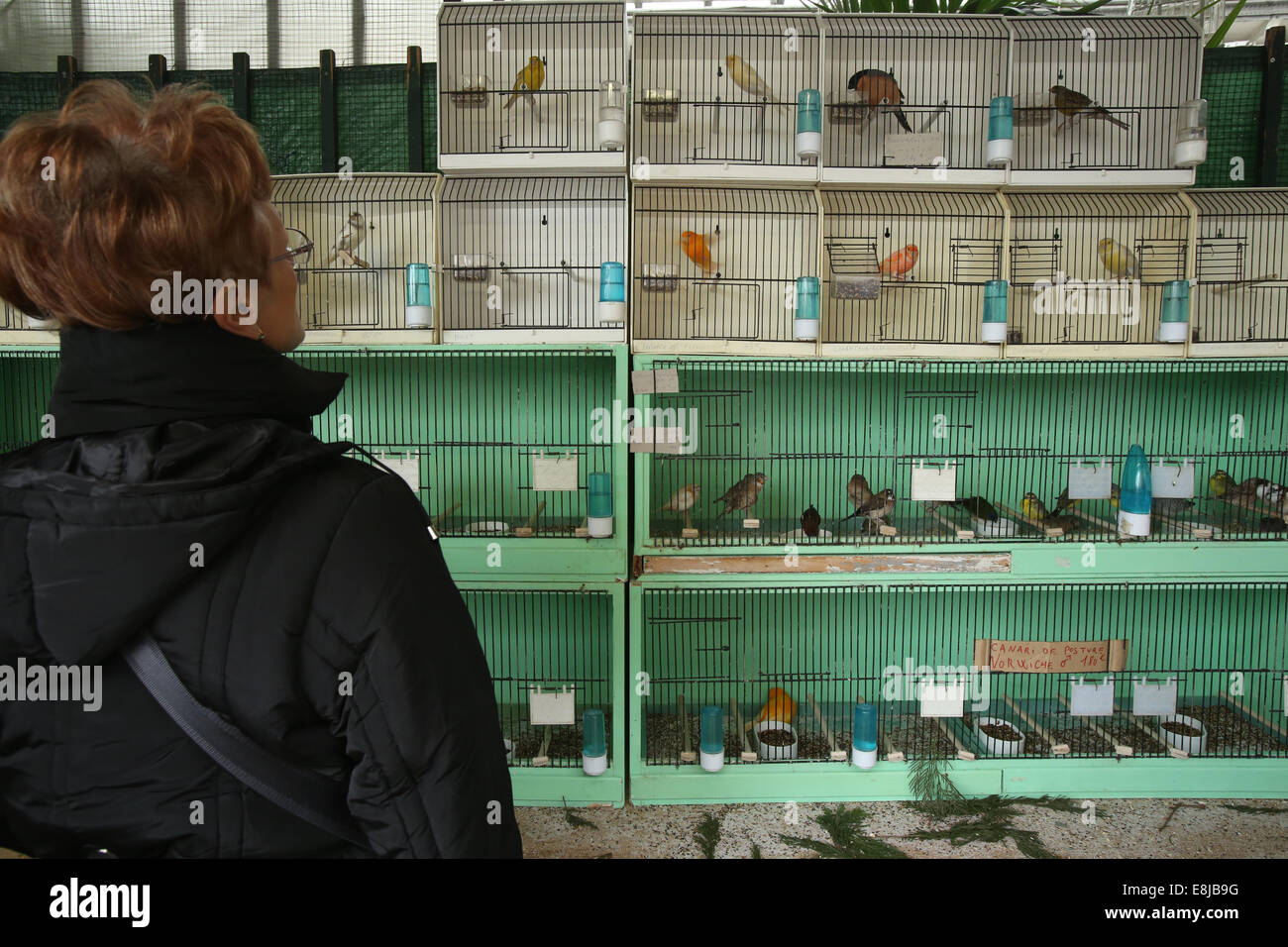 Bird market paris hi-res stock photography and images - Alamy