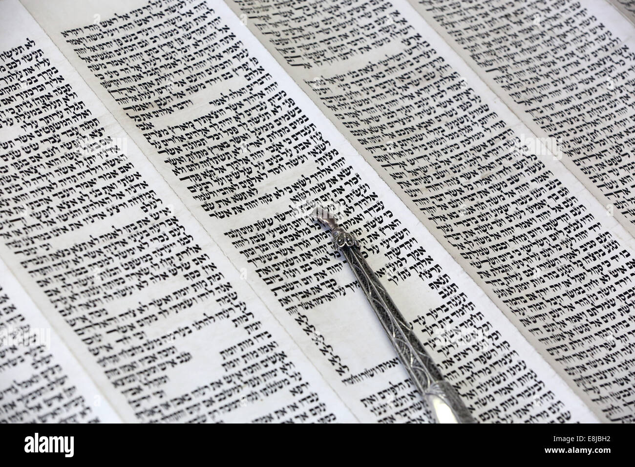 Jewish torah scroll with pointer. The word Shabbat in hebrew Stock ...