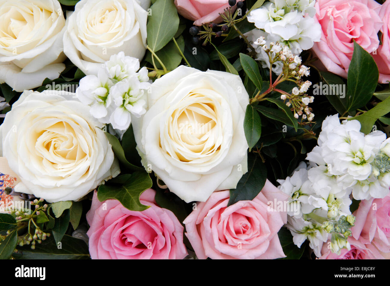 Roses of paris hi-res stock photography and images - Alamy