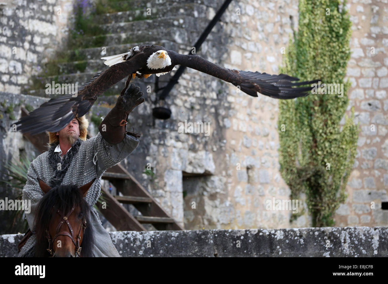 Medieval Bird High Resolution Stock Photography and Images - Alamy