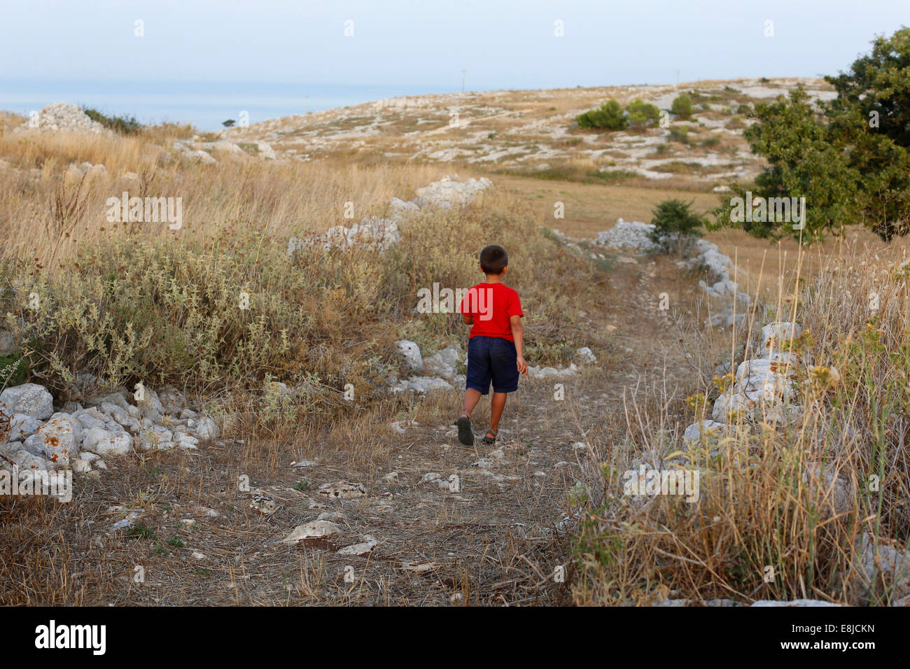 Boy walking on a path Stock Photo - Alamy