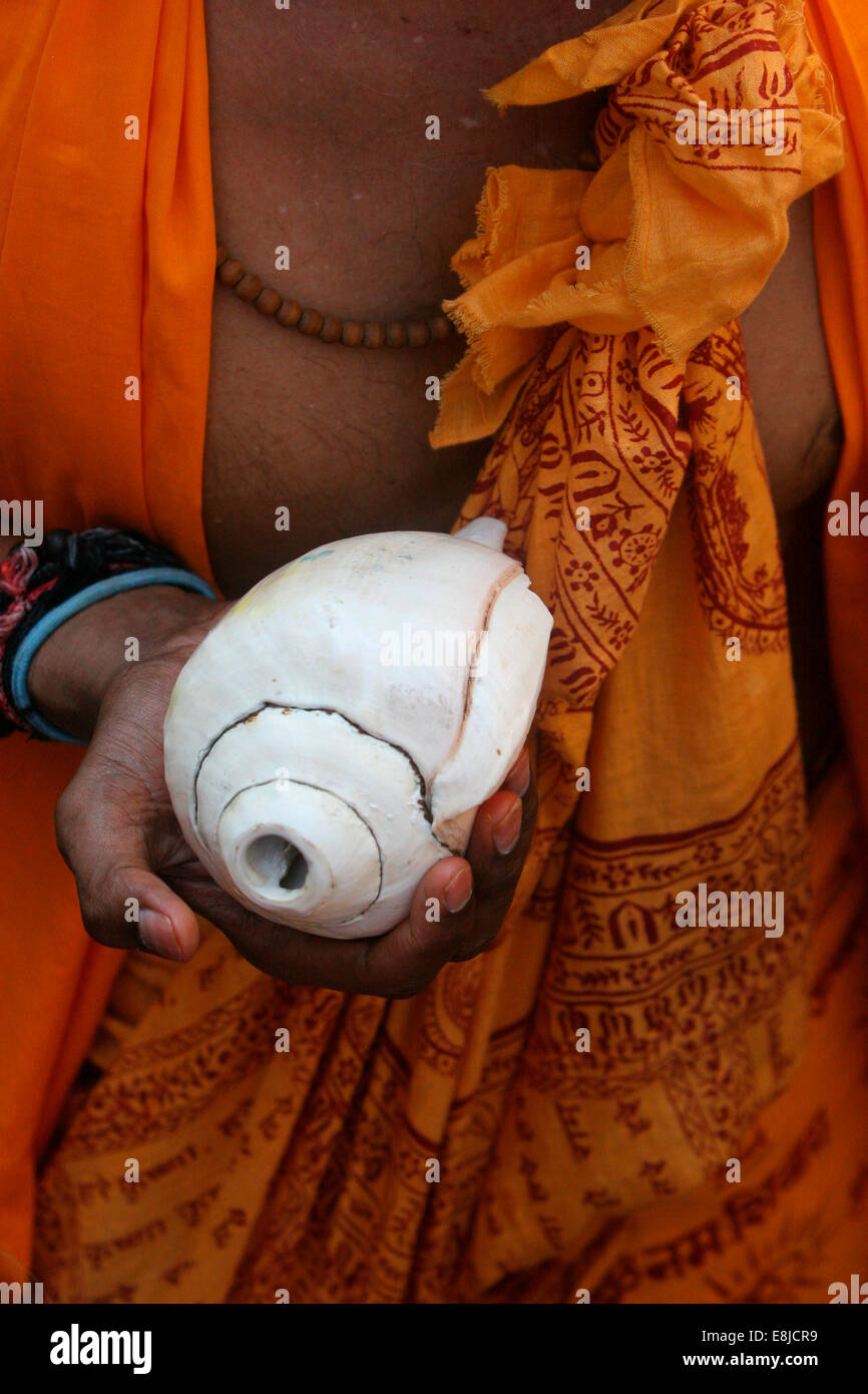 Conch played during Hindu ceremonies Stock Photo - Alamy