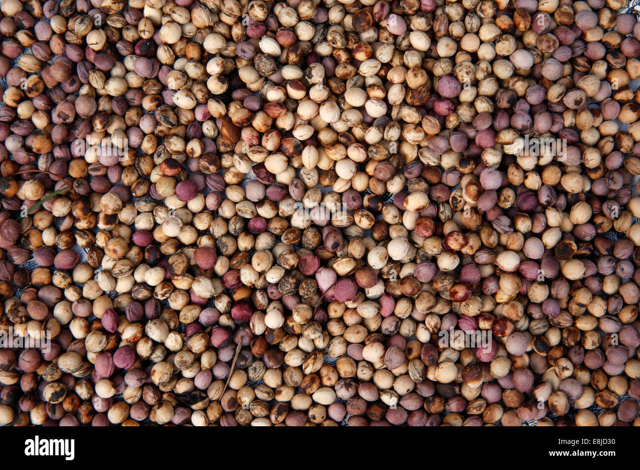Cherry stones hi-res stock photography and images - Alamy