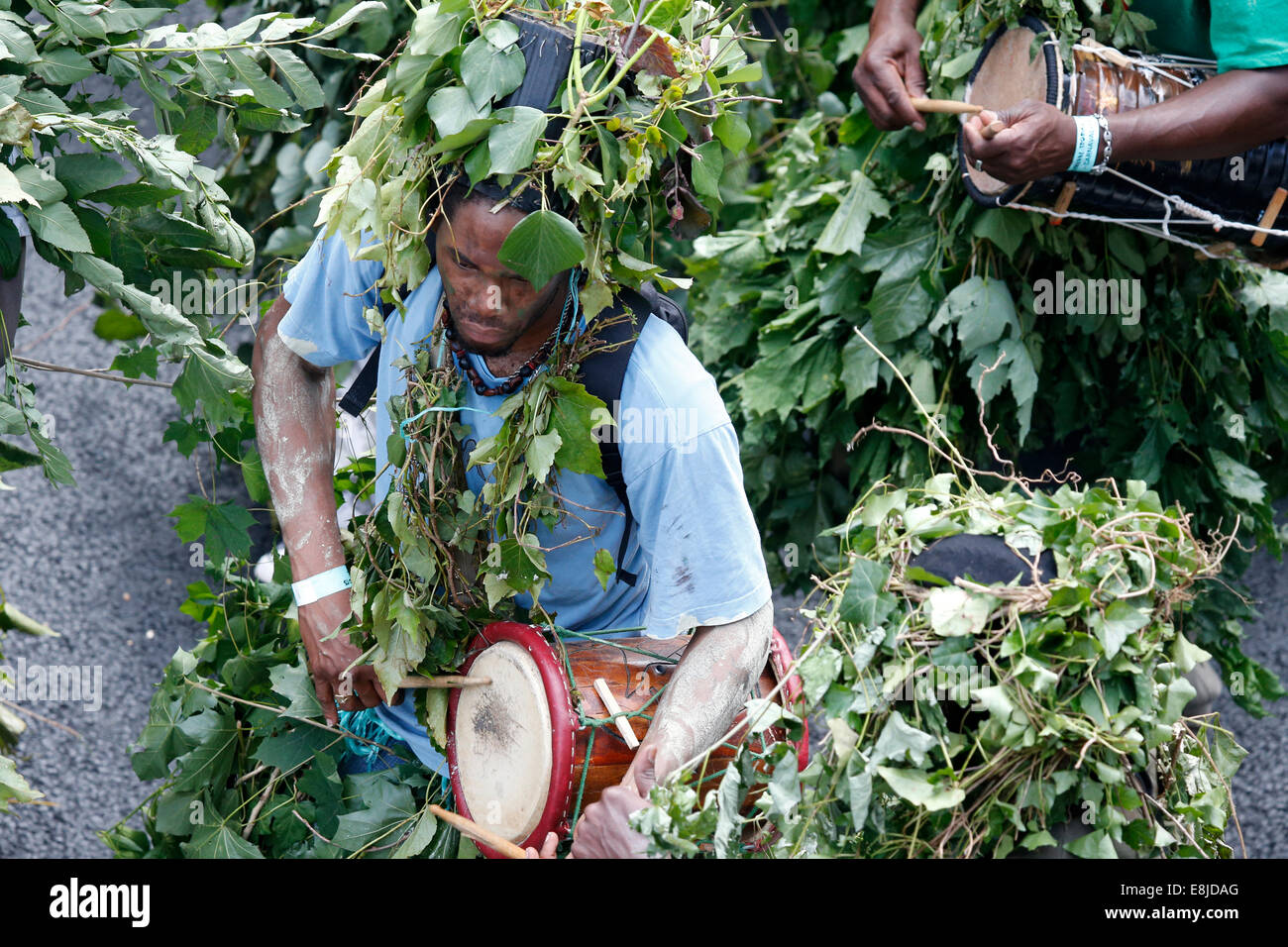 Paris Tropical Carnival Stock Photo - Alamy