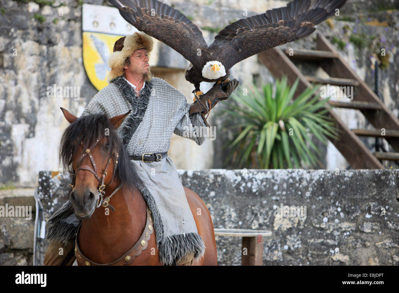 Hawker. The legend of the knights. The medieval festival of Provins ...