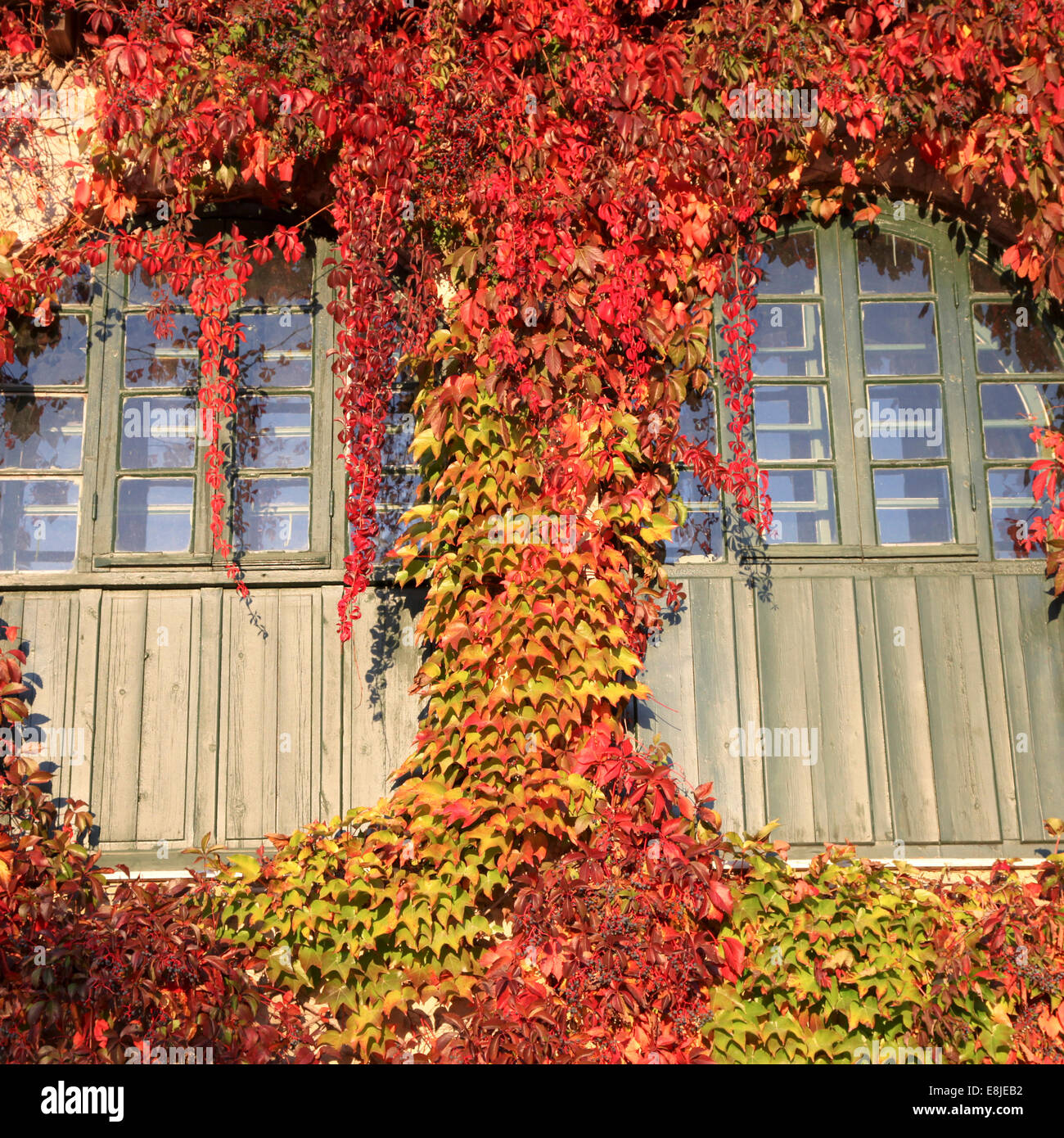 Home with windows hi-res stock photography and images - Alamy