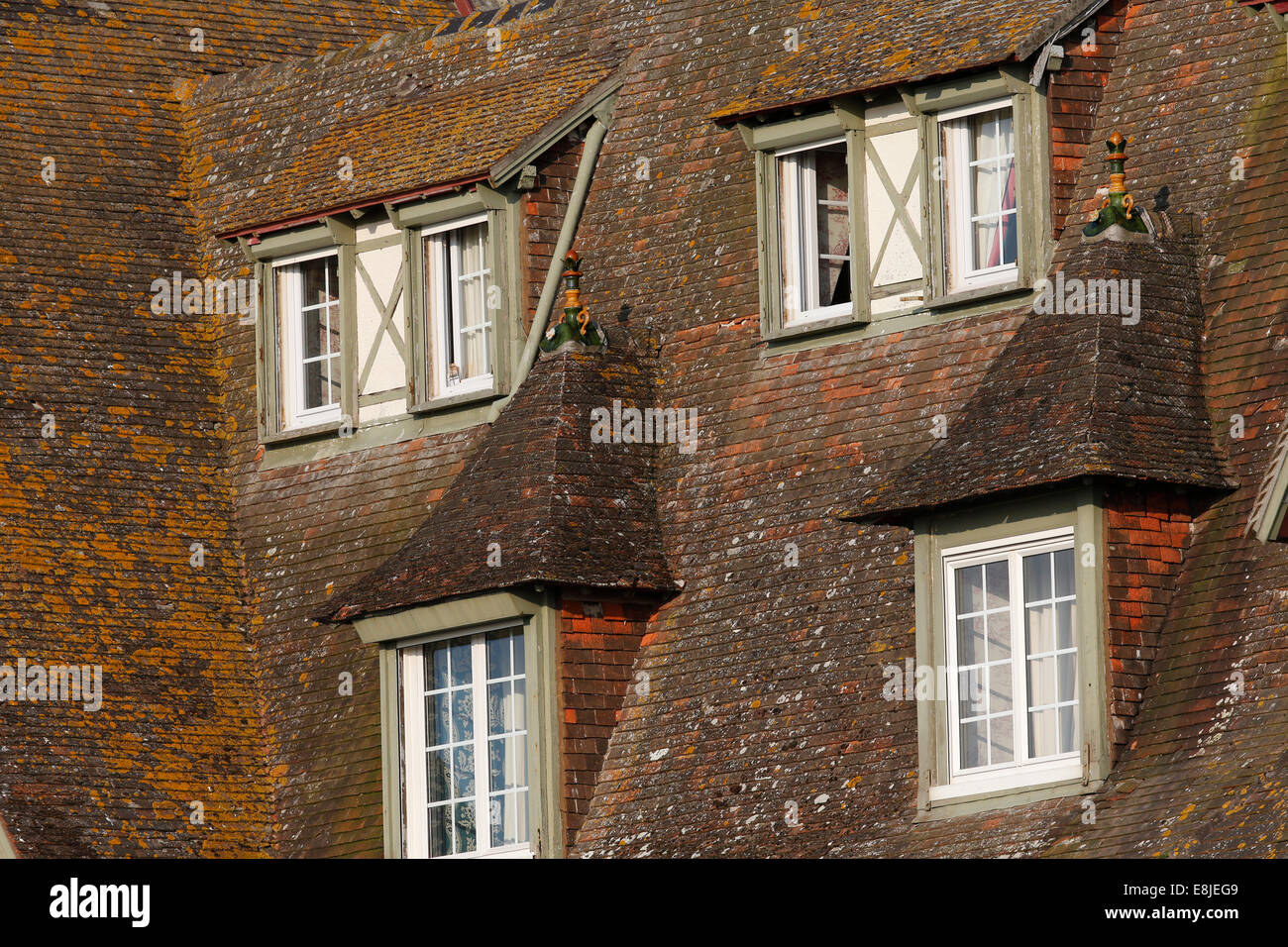 Holy image of the Pope Stock Photo - Alamy