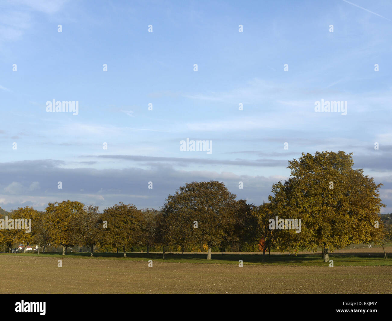 Country landscape hi-res stock photography and images - Alamy
