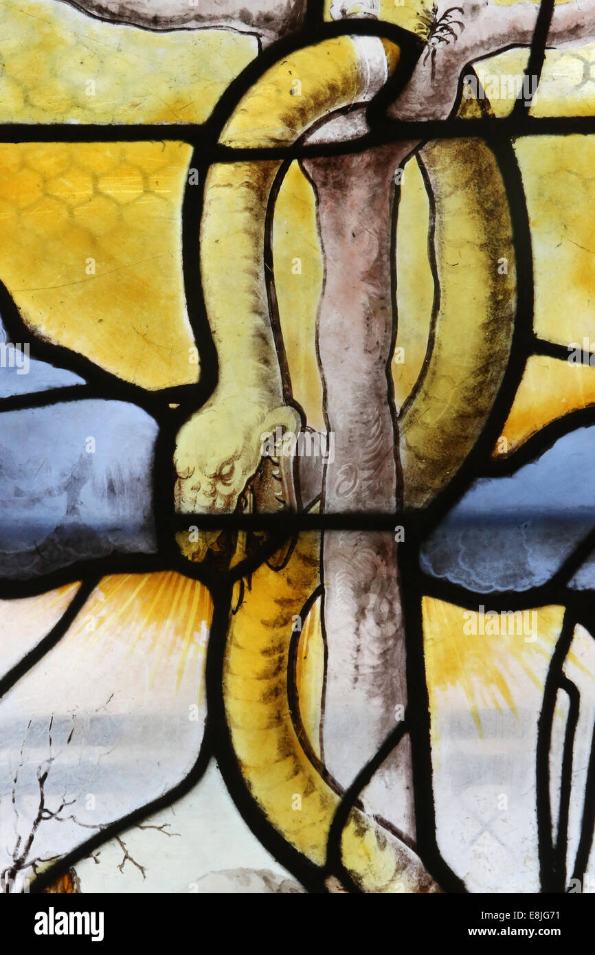 Stained Glass Snake High Resolution Stock Photography and Images - Alamy