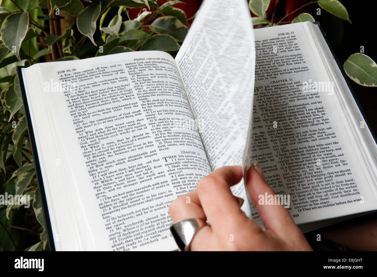 Reading the bible. The book of Esther Stock Photo - Alamy
