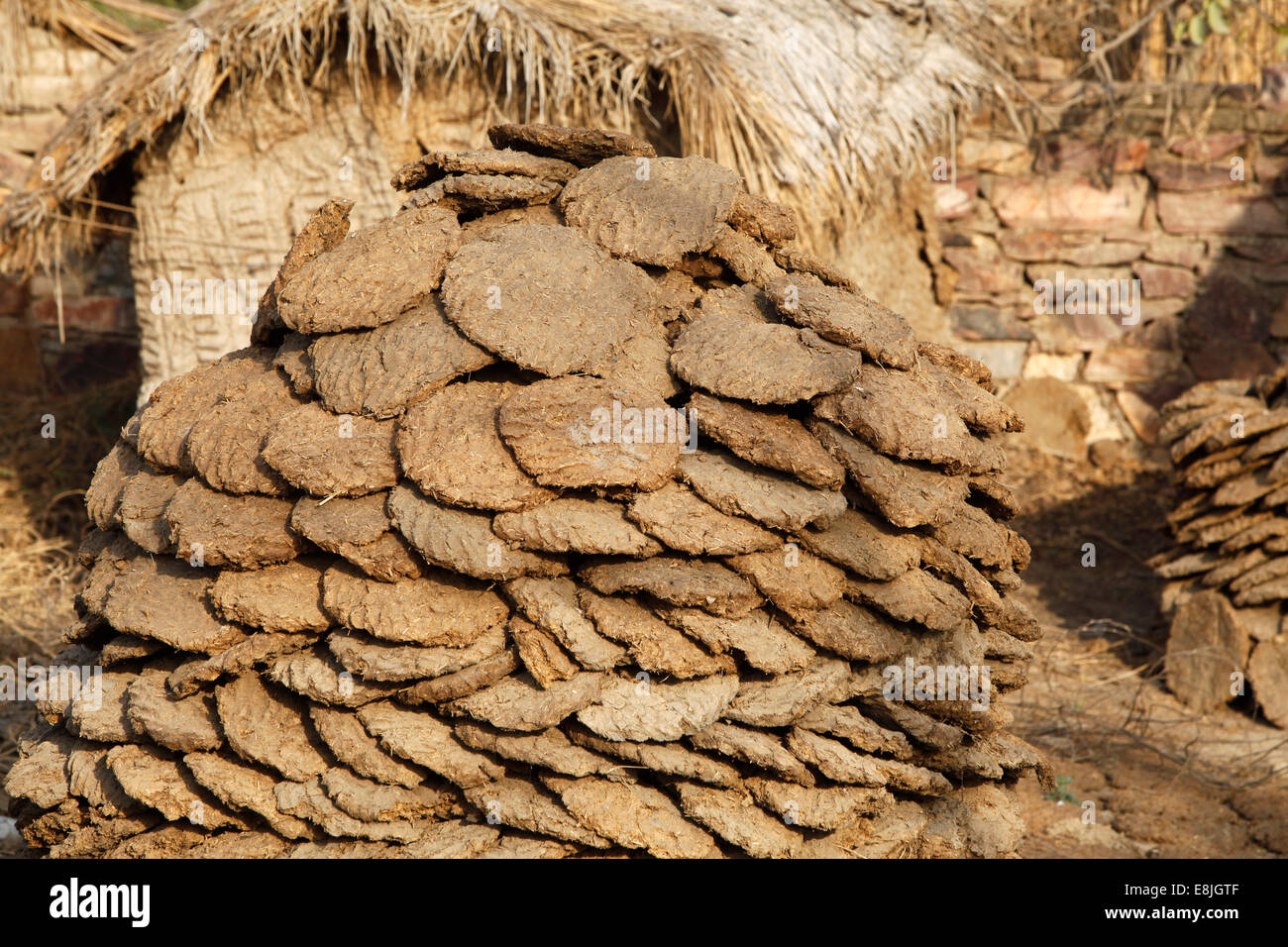 Cowpats hi-res stock photography and images - Alamy