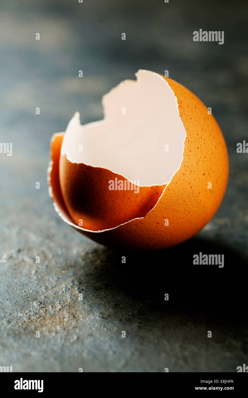 Eggs shell on dark background Stock Photo - Alamy