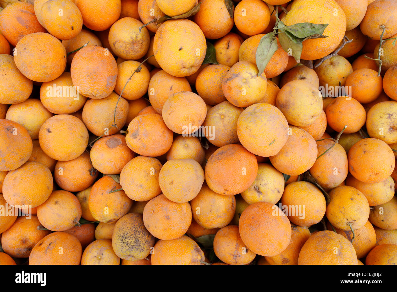 Oranges from Morocco Stock Photo - Alamy