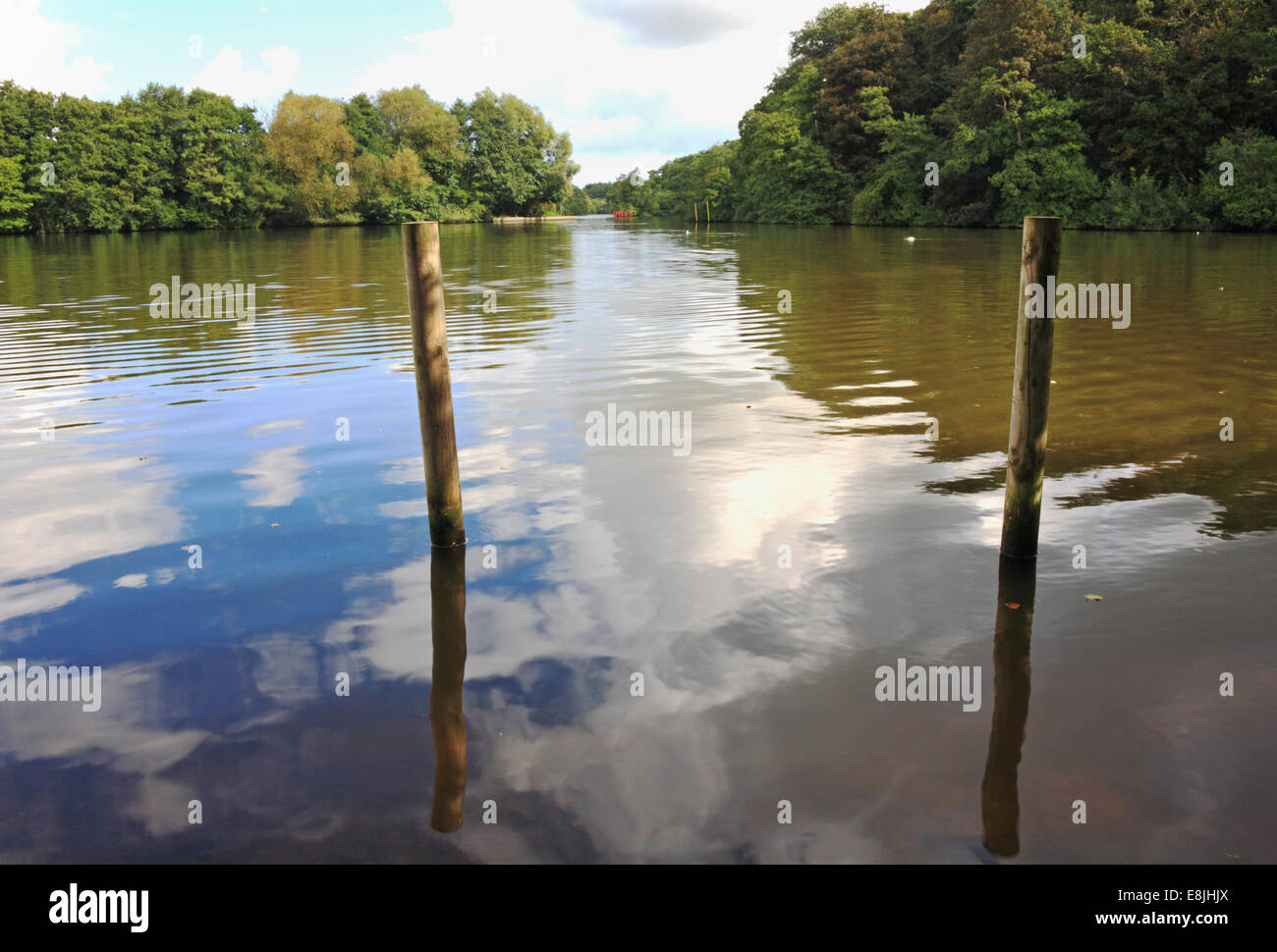 A view of a corner of Salhouse Broad on the Norfolk Broads, England ...