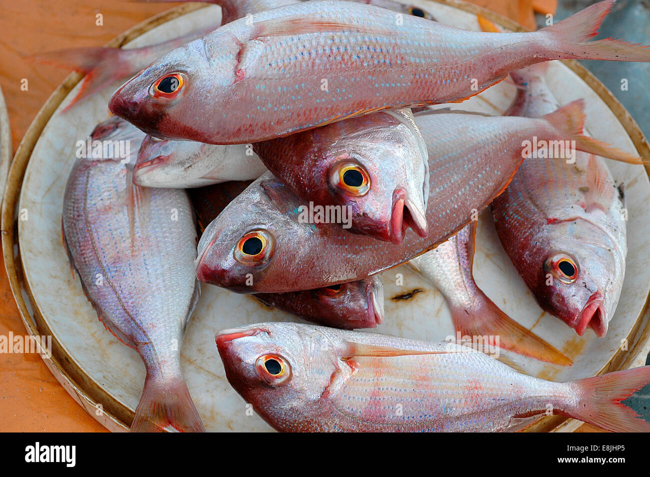 Goat fish or red mullet Stock Photo - Alamy