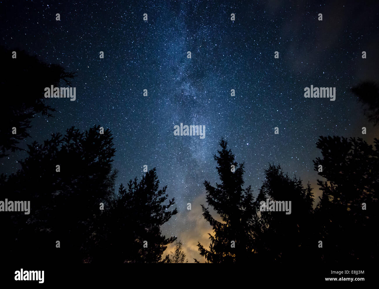 Night sky with the Milky Way over the forest and trees. The last light ...