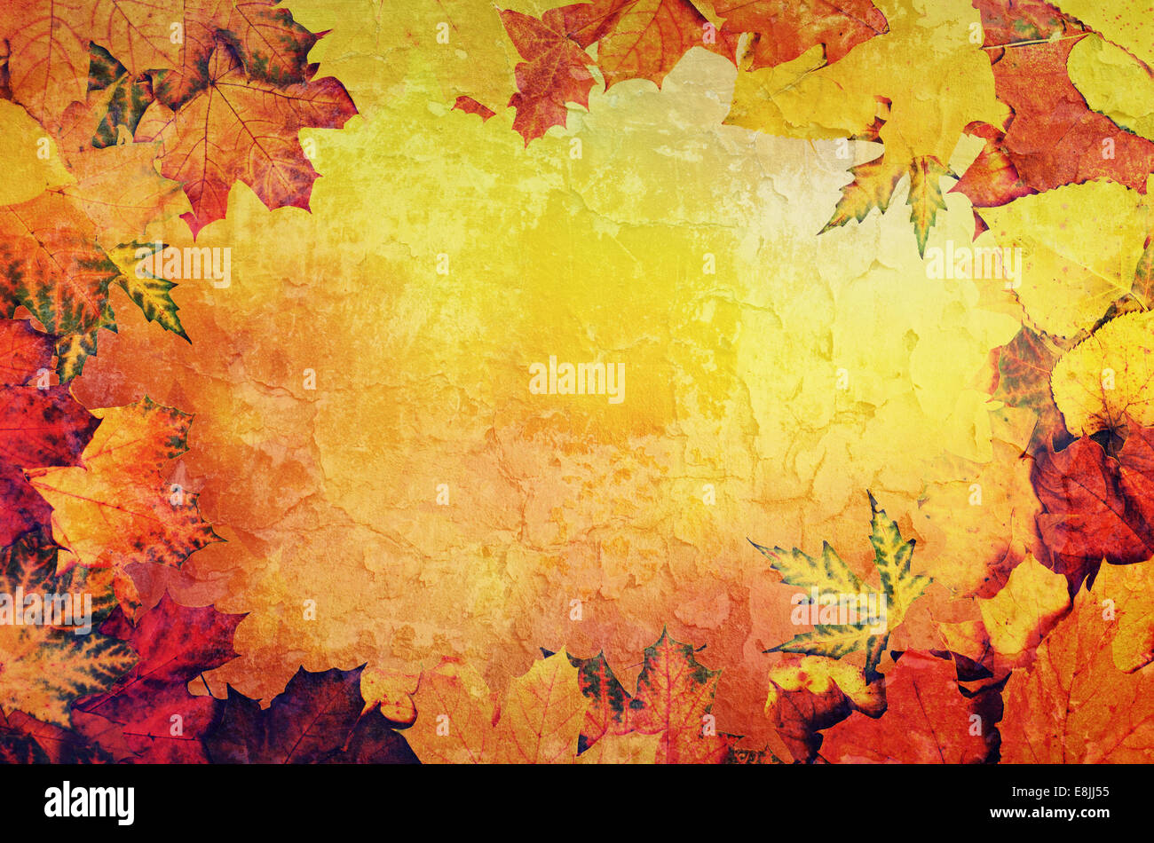 Copper gold golden orange leaves hi-res stock photography and images ...