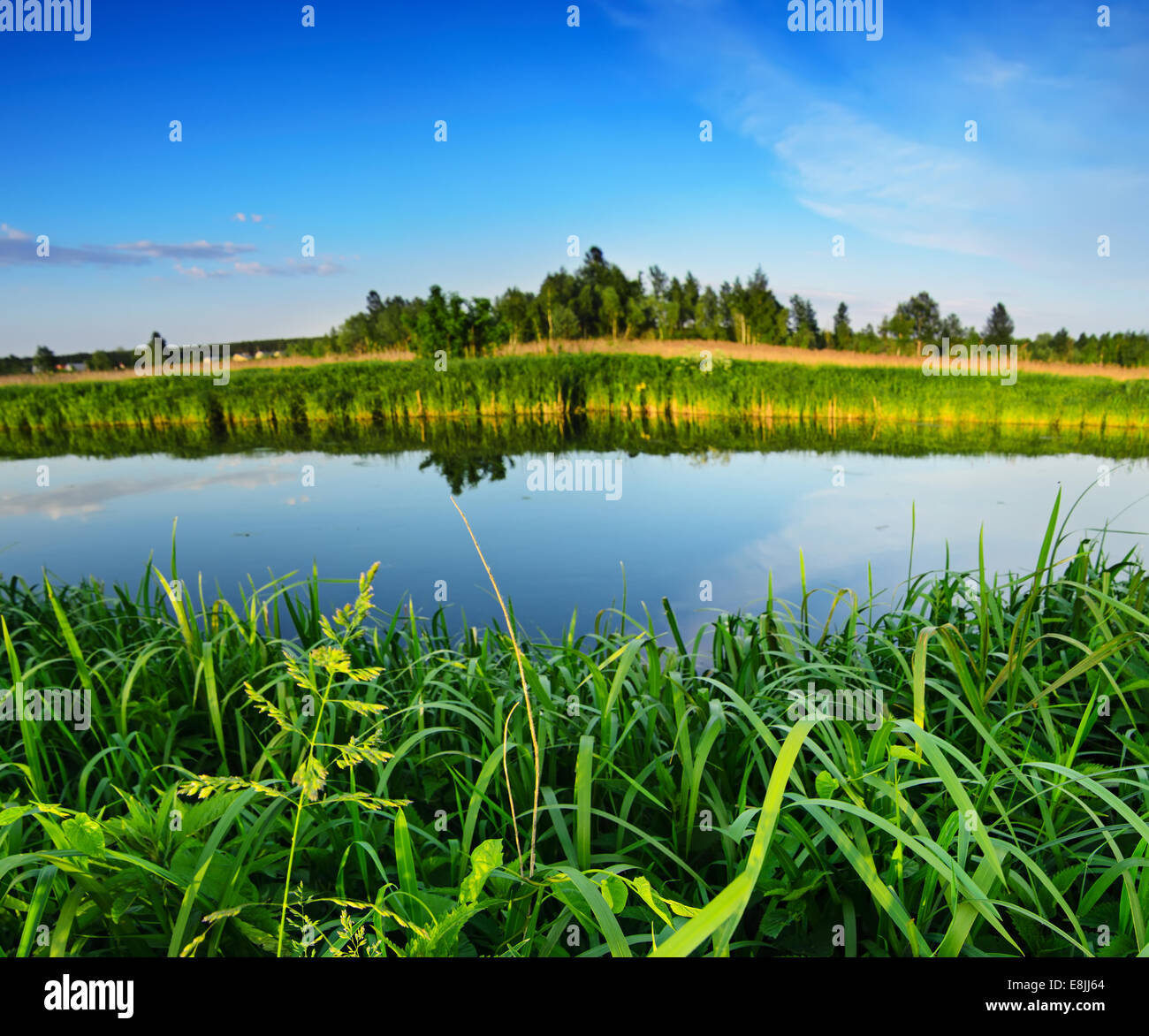 Rural summer landscape with river Stock Photo - Alamy