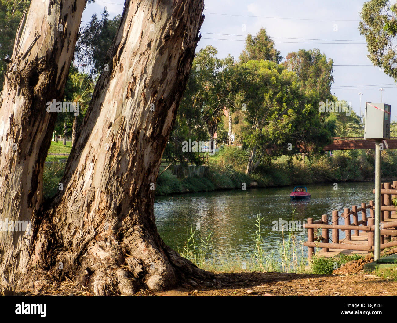 Israel, Tel Aviv, The Yarkon River and park Stock Photo - Alamy