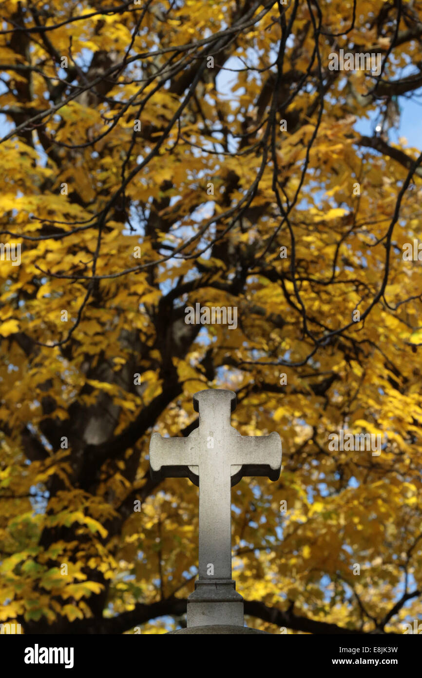 Cross at the cemetery hi-res stock photography and images - Alamy