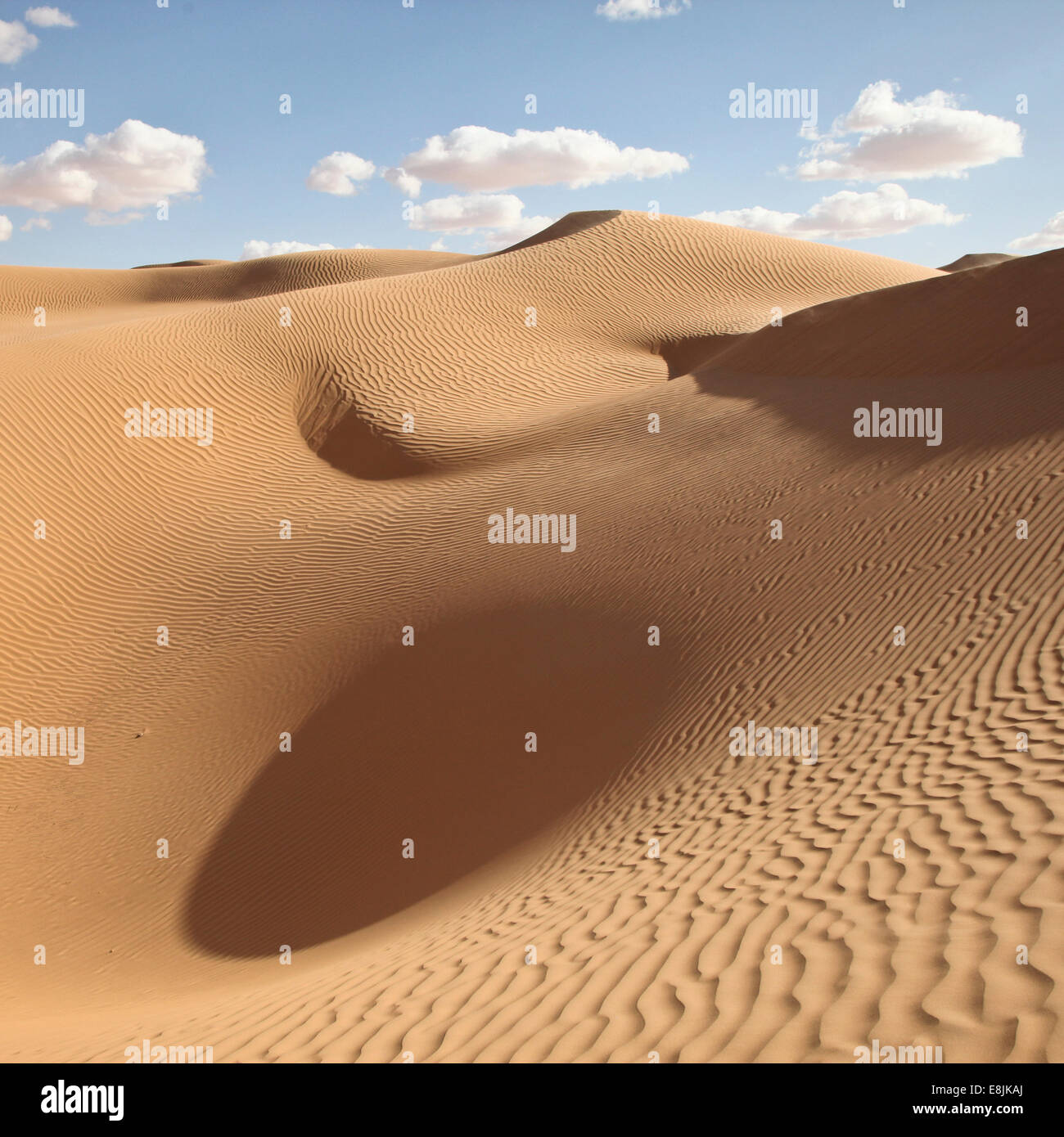 Sand dune in the Sahara Stock Photo - Alamy