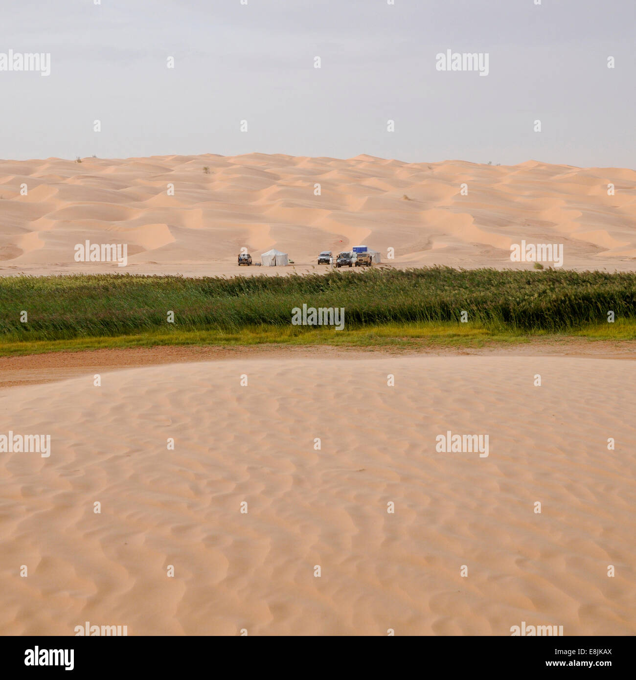 Car in desert sahara sand hi-res stock photography and images - Alamy