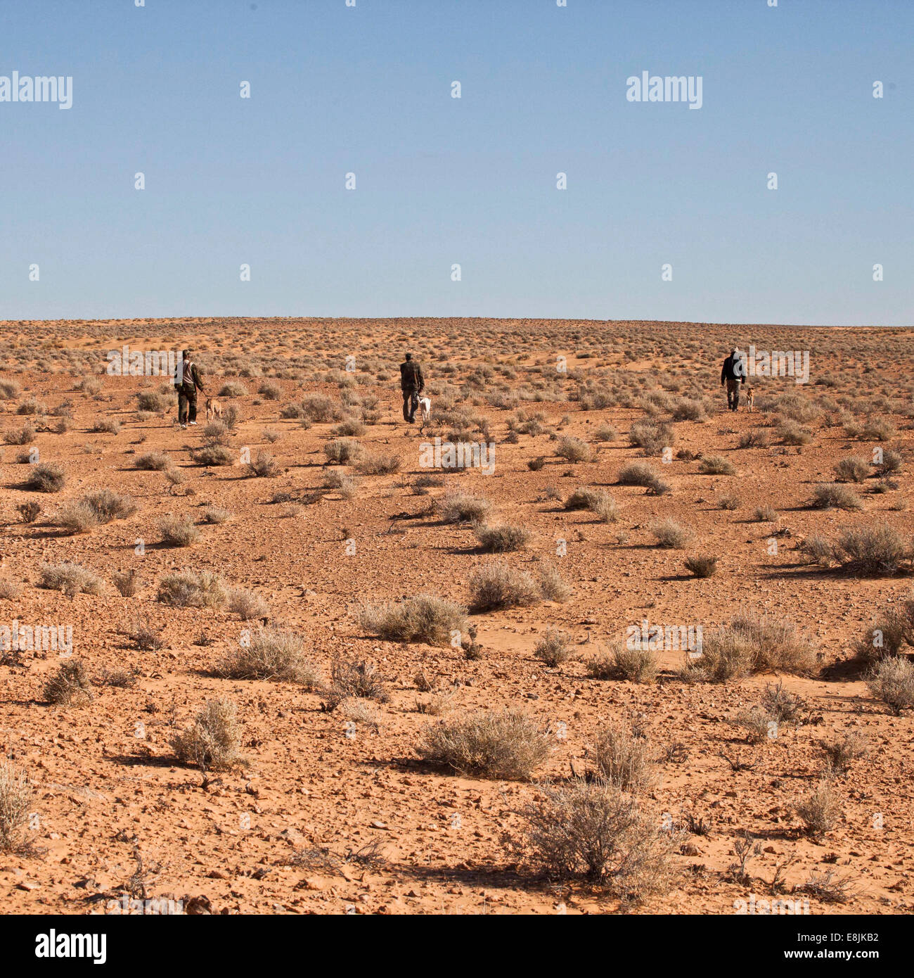 Hunters in the Sahara Stock Photo - Alamy