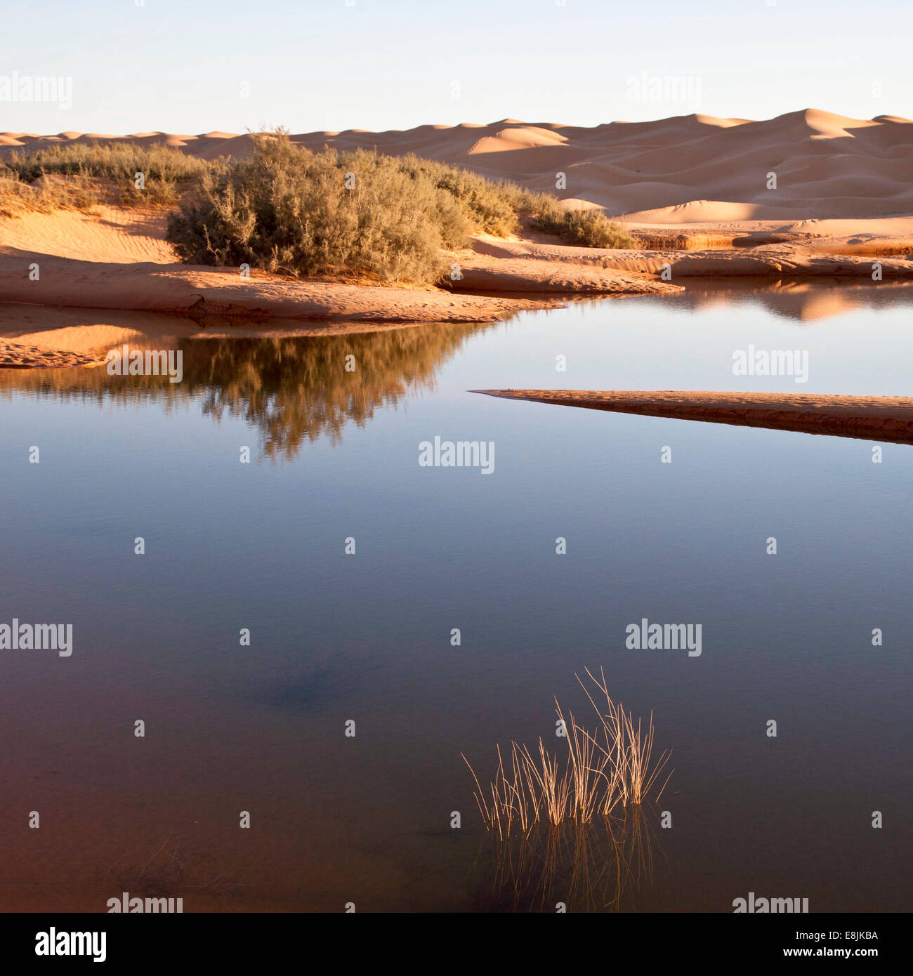 Water in the desert Stock Photo - Alamy