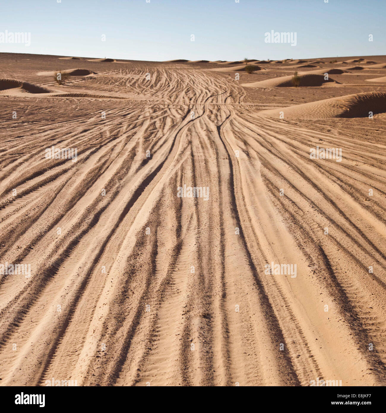 Tracks on desert sand Stock Photo - Alamy