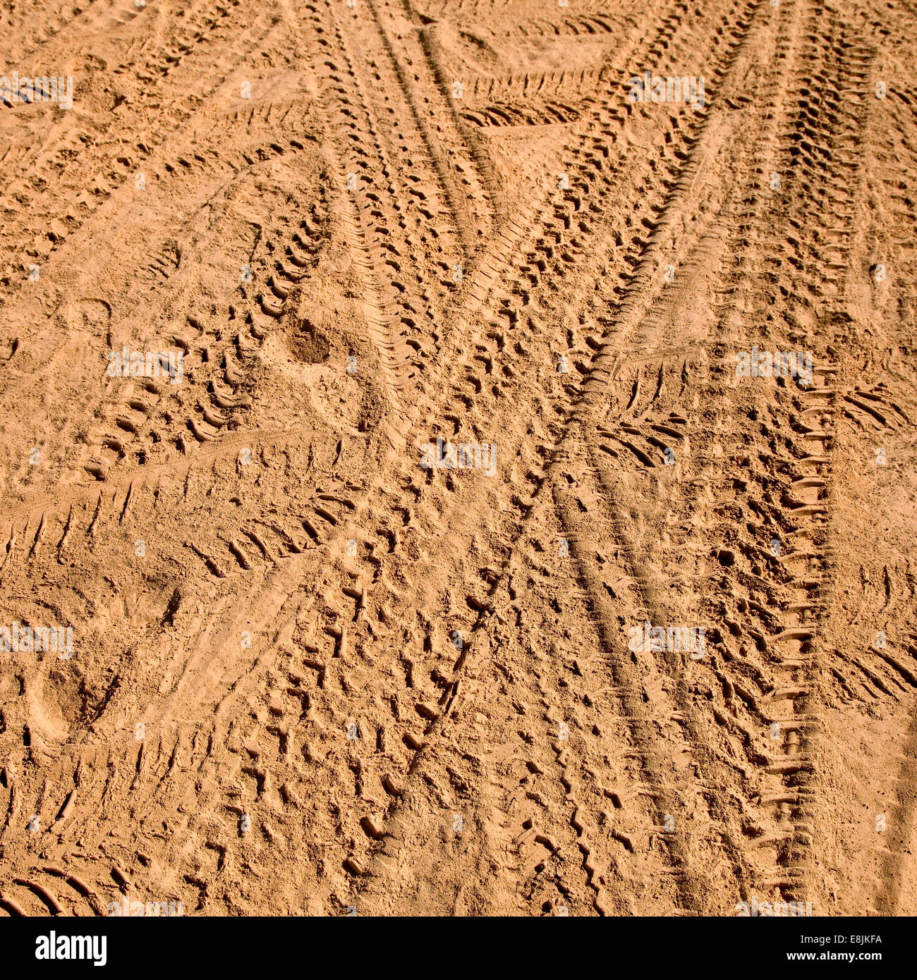 Car tracks on the sand hi-res stock photography and images - Alamy