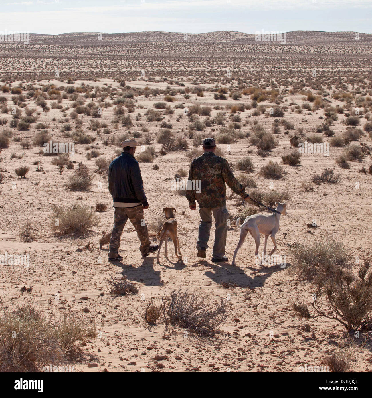 Arab hunter hi-res stock photography and images - Alamy