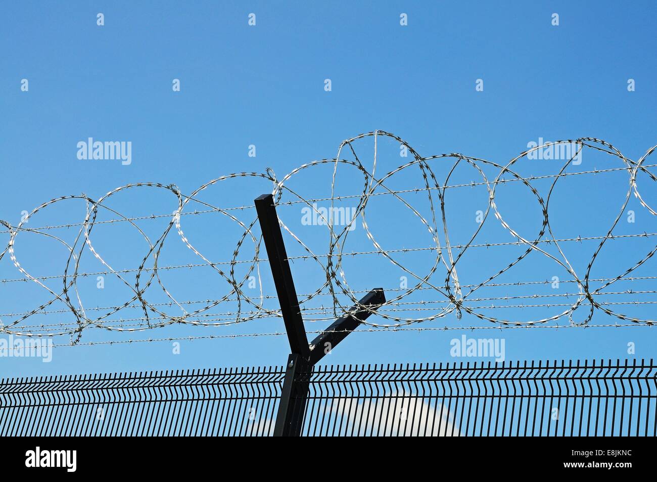 Coiled barbed wire on top of a security fence Stock Photo - Alamy