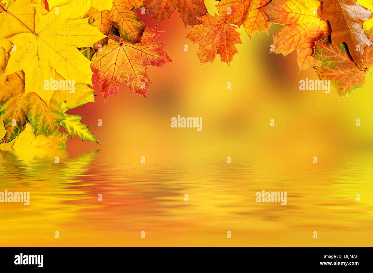 Autumn leaves frame Stock Photo - Alamy