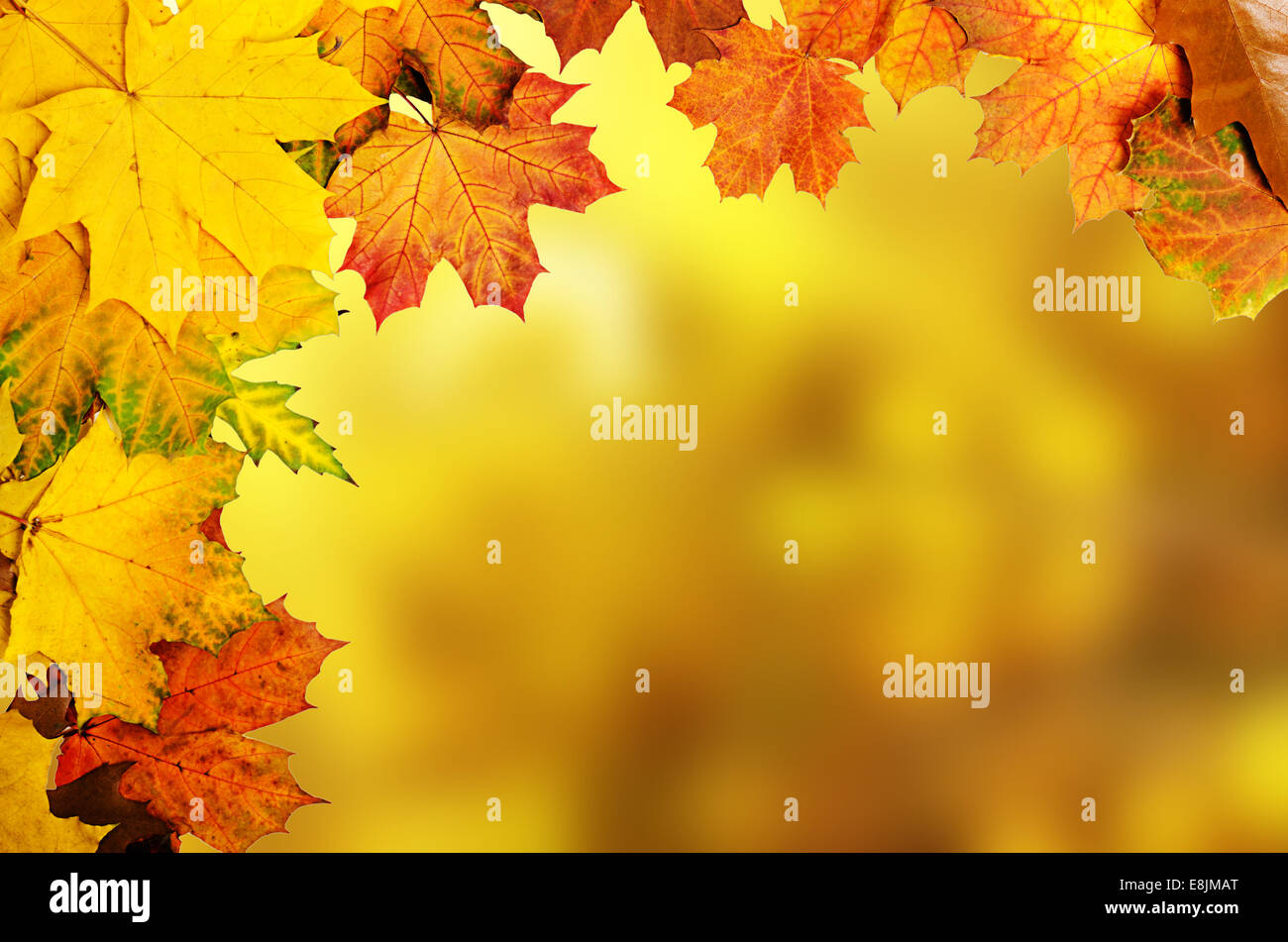 Autumn leaves frame Stock Photo - Alamy