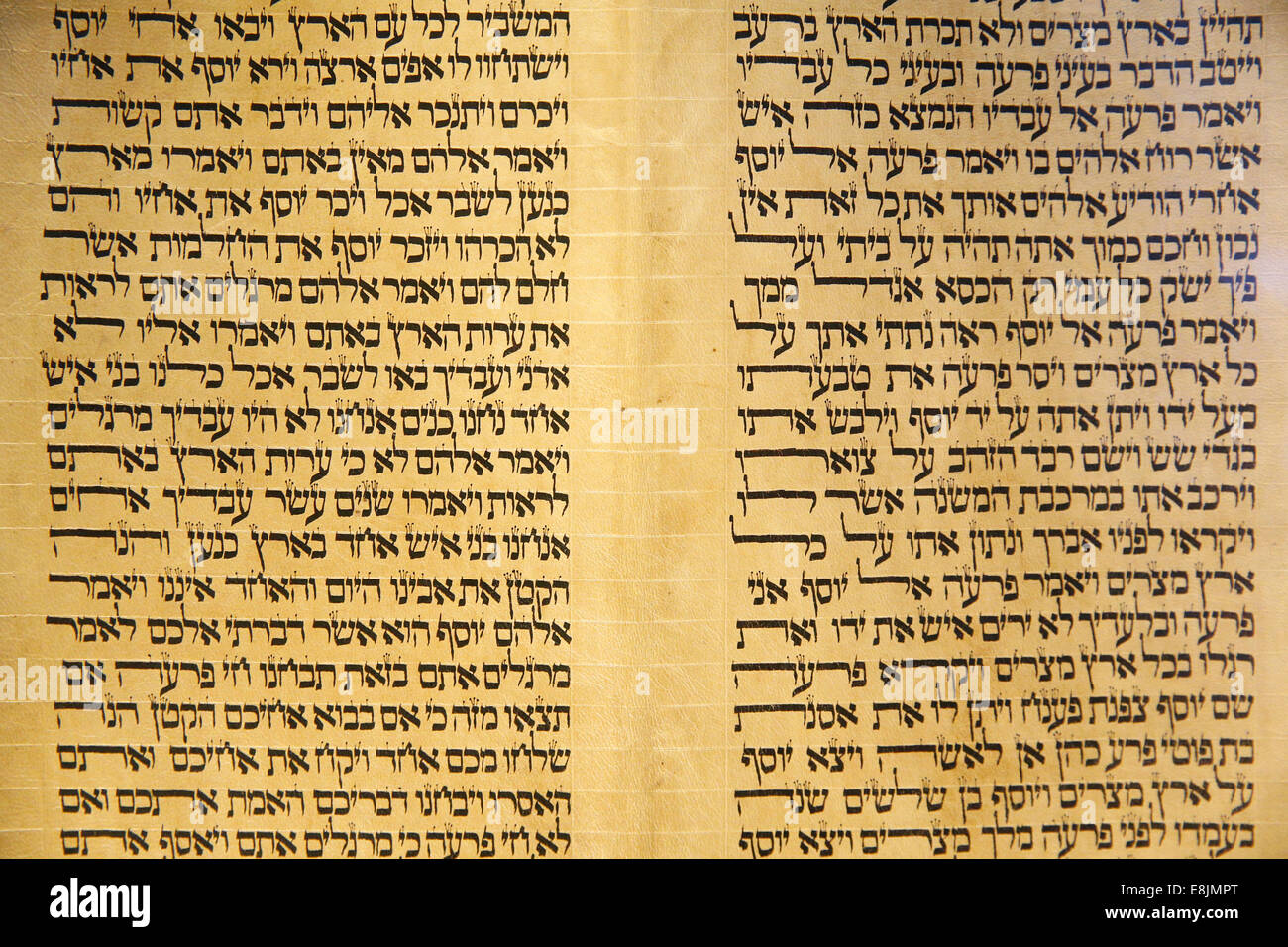 All The Scrolls Of The Tanakh