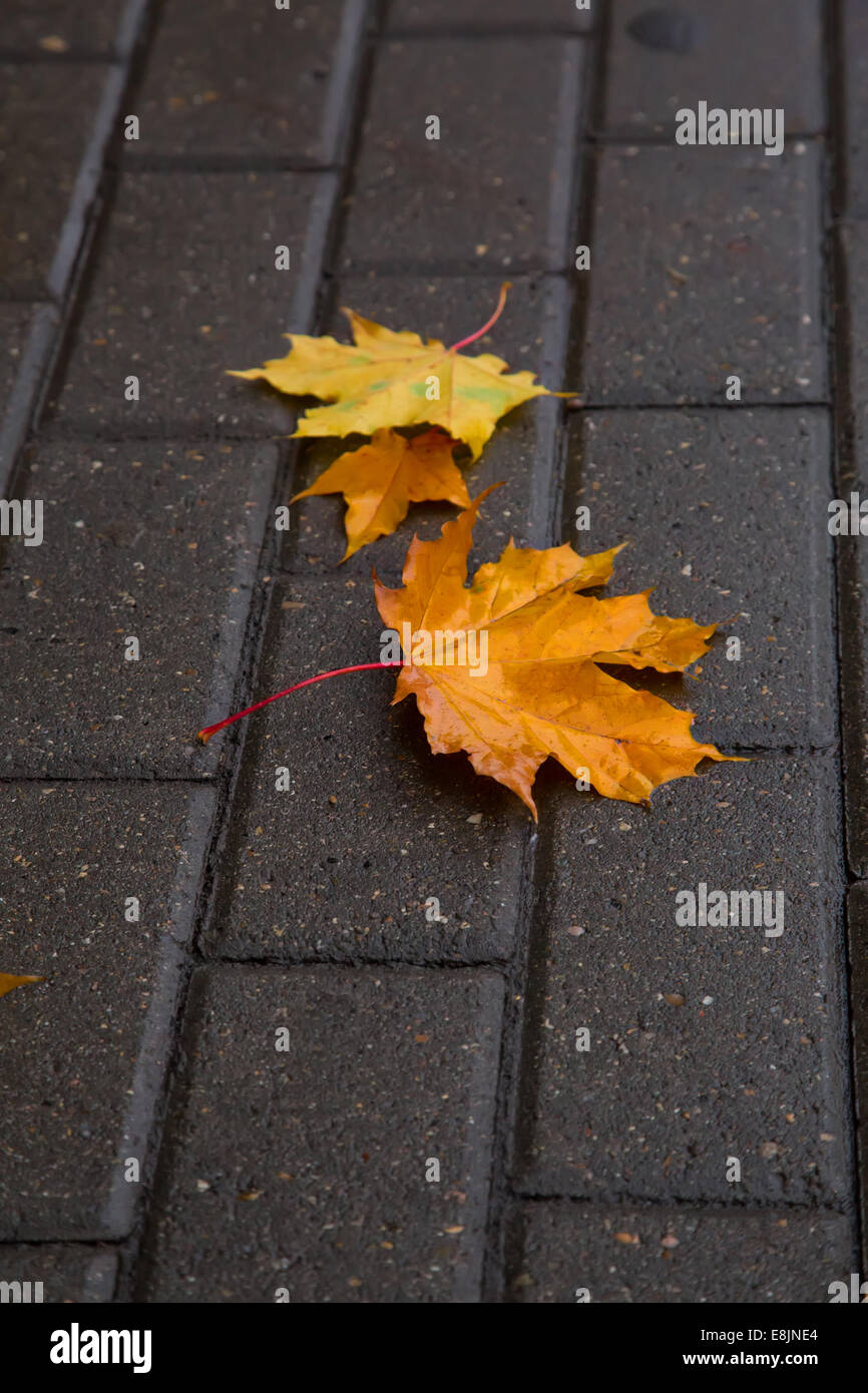 Block stone hi-res stock photography and images - Alamy