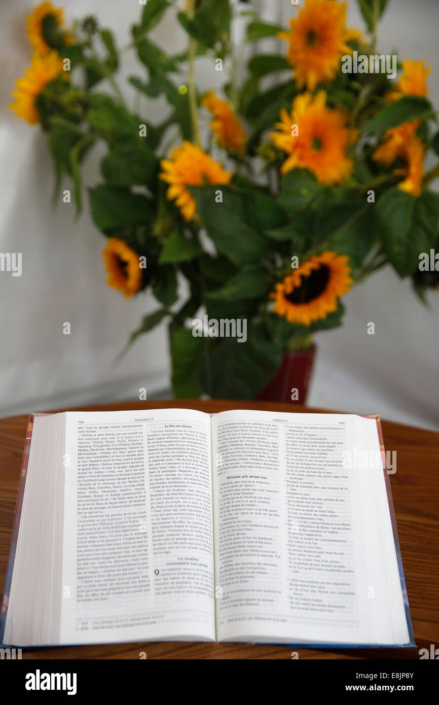 Protestant gathering in Paris. Bible Stock Photo - Alamy