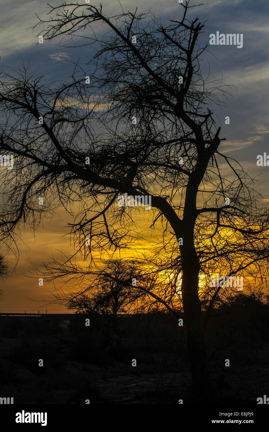 Parched Landscape Drought High Resolution Stock Photography and Images ...