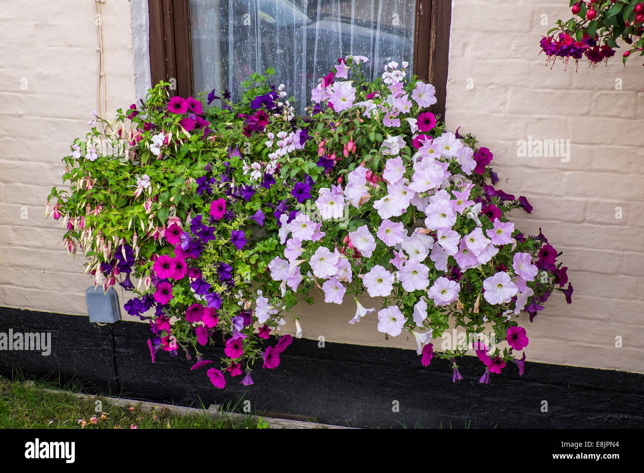 Decorative window box overflowing with flowers Stock Photo - Alamy