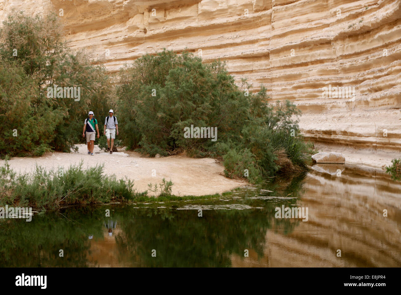 Ein Avdat Canyon, Negev Desert. Pilgrimage in Holy Land Stock Photo - Alamy