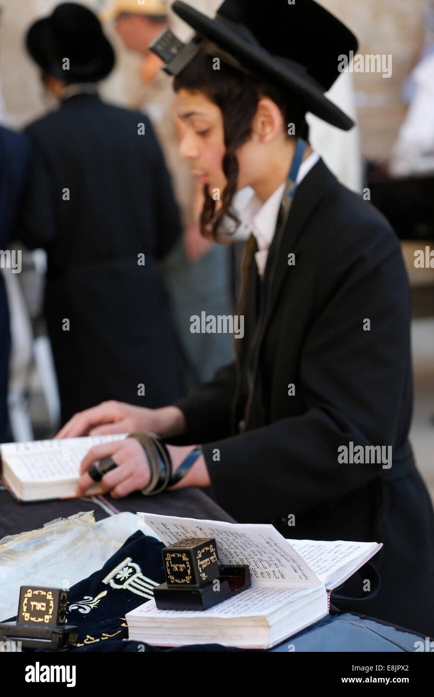 Jew reading the torah at Western Wall Stock Photo - Alamy