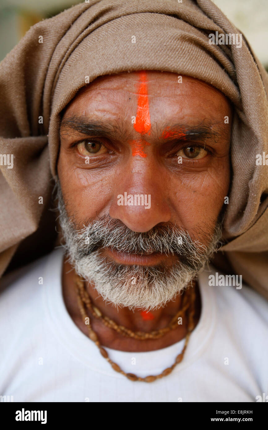 Hindu temple priest Stock Photo - Alamy