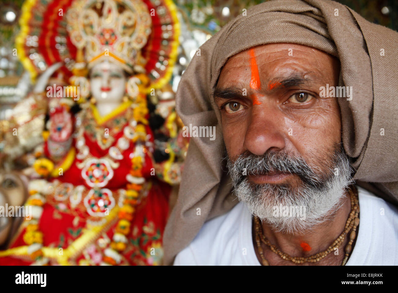 Hindu temple priest Stock Photo - Alamy