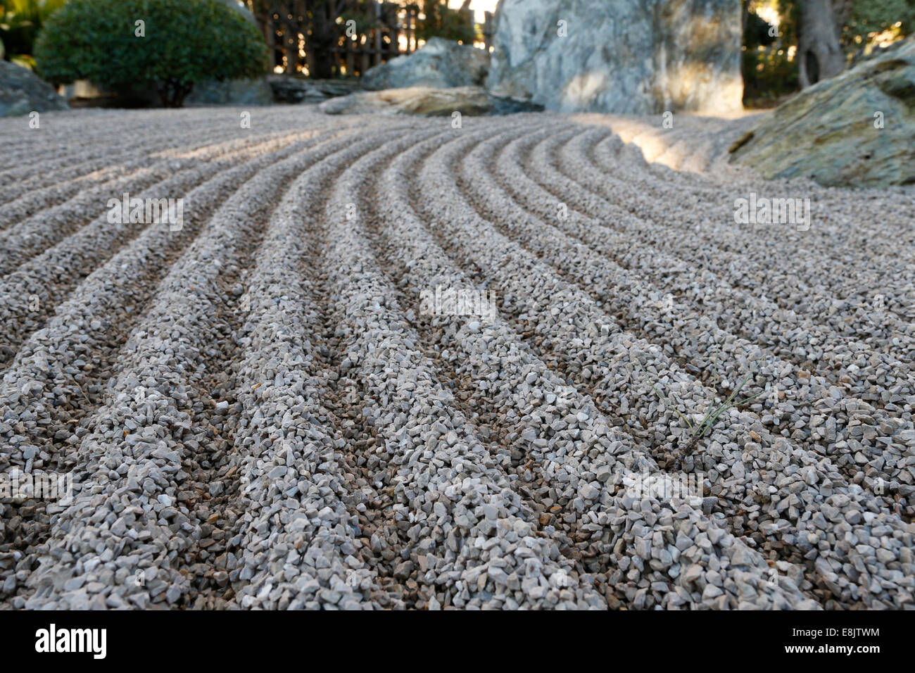 Japanese garden landscape hi-res stock photography and images - Alamy