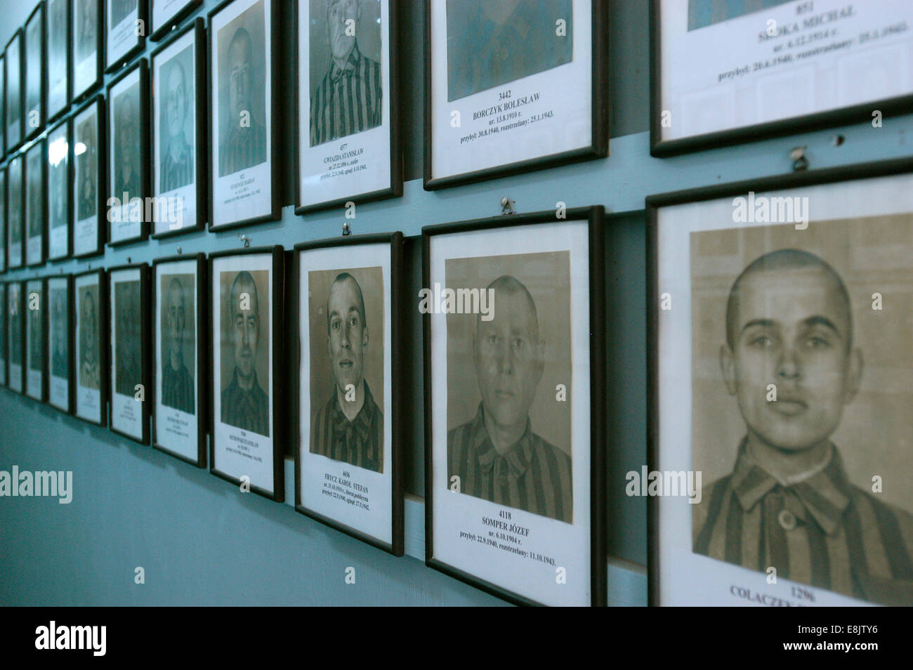 Photographs of deportees in Auschwitz concentration camp Stock Photo ...