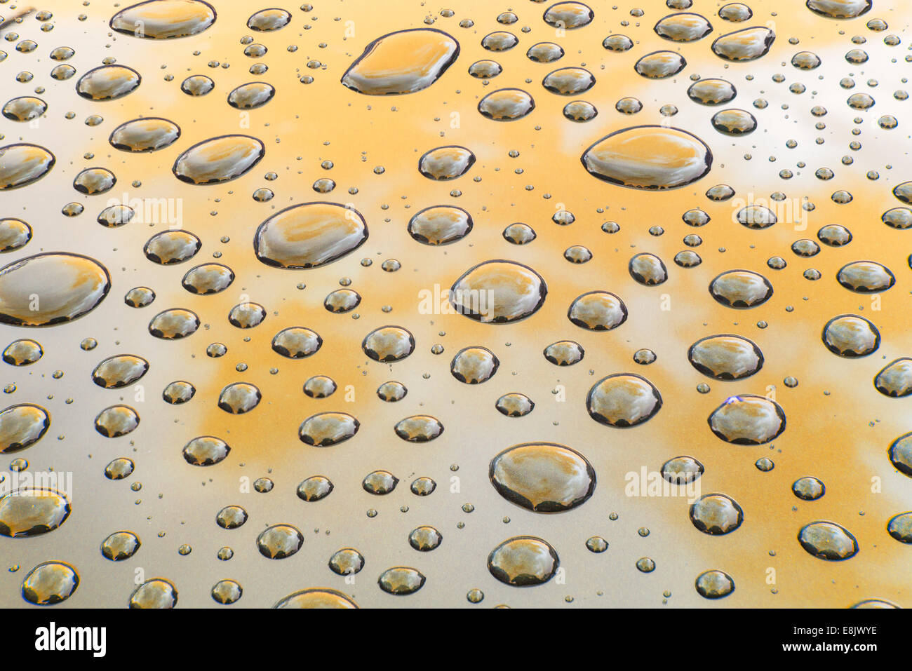Water droplets on the roof of a car after a rainfall Stock Photo - Alamy